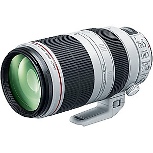 Canon EF 100-400mm f/4.5-5.6L is II USM Lens - 9524B002 (Renewed)
