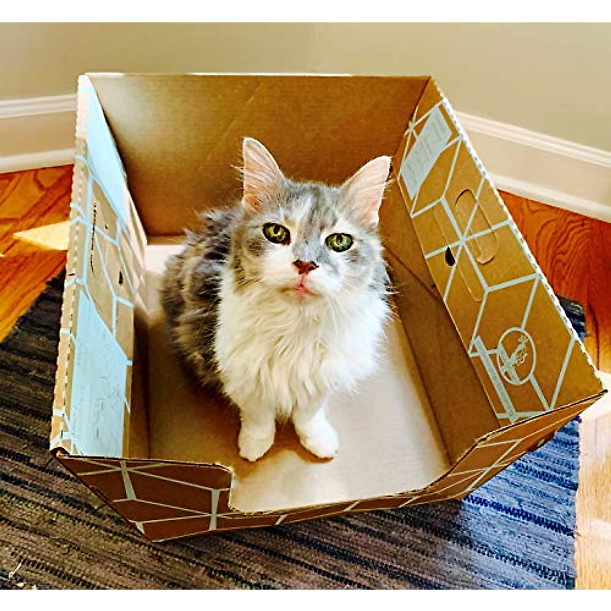 Cats Desire Disposable Litter Boxes 10 Trays-8.5 inches Tall Each Tray