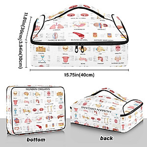 Diagram of Different Human Organs on White Background Reusable Insulated Pizza Bag, Waterproof Food Delivery Bag, with Handle Lid Leakproof Pizza Holder Tote for Hot or Cold Food