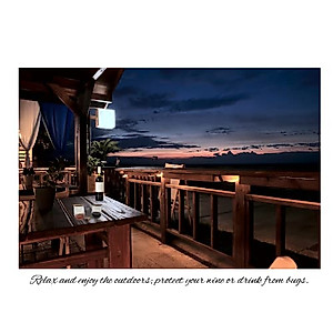 WINE ACCESSORIES FOR WINE LOVERS - Drink Glass Covers (4) - Beverage Covers to Keep Bugs Out - Coverware Drink Tops - Wine Glass Topper Ventilated