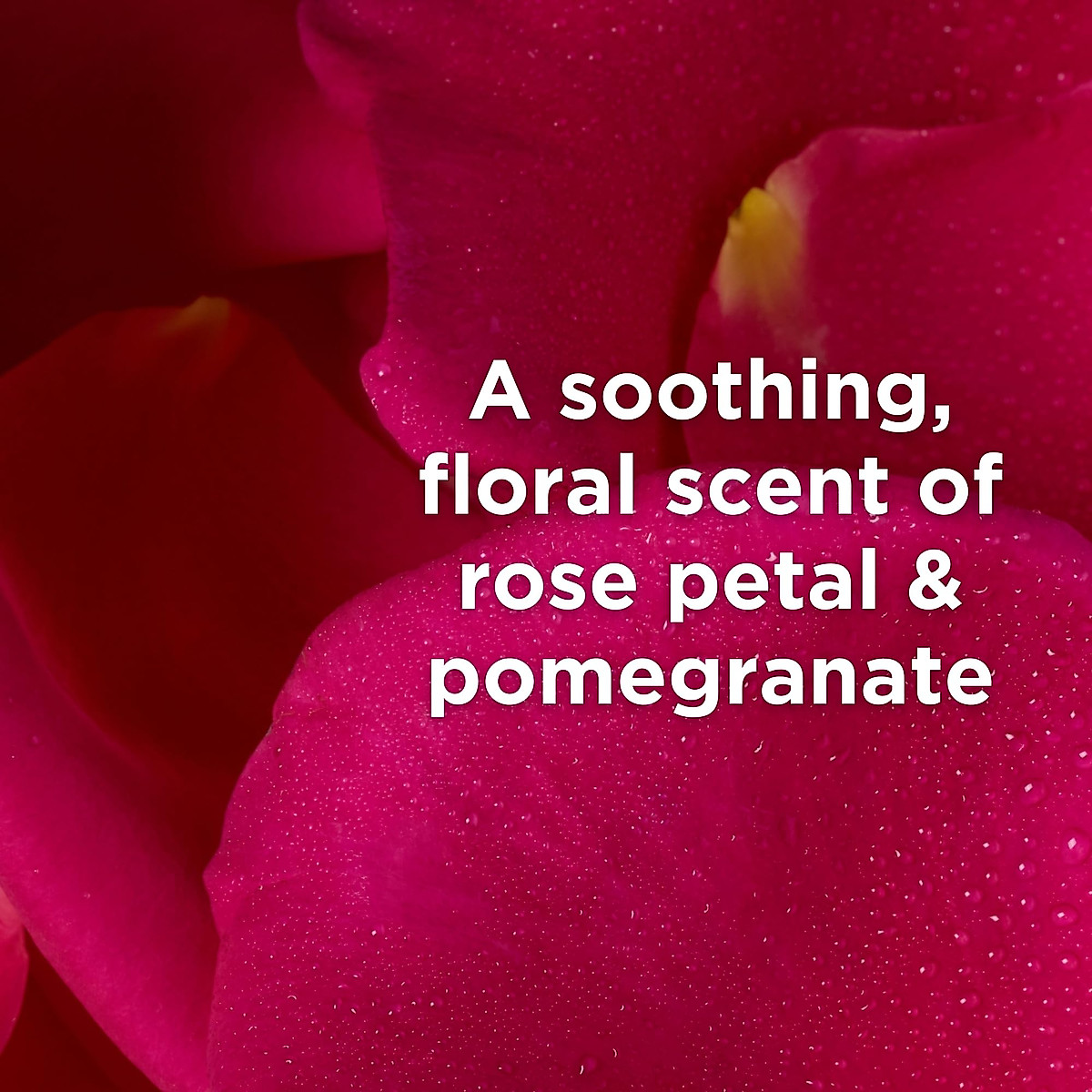 Andalou Naturals 1000 Roses Soothing Body Lotion, with Cocoa + Shea Butter, Aloe & Rosehip, Hydrating Sensitive Skin Lotion for Dry Skin, 8 Fl. Oz