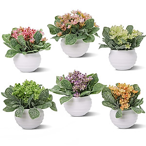 Zuvas Fake Plants 6 Packs Small Artificial Plastic Plants Set Home Decor Mini Potted Faux Flowers and Herb Greenery Leaves for Bathroom Office Table Shelf Decoration