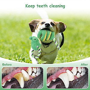 PIANG GOUER Squeaky Dog Toys,Durable Tough Dog Toys,Stuffed Animal Dog Chew Toy with Durable Soft Fabric,Interactive Rope Dog Toys for Small, Middle and Large Dogs Plush Dog Toys,Crocodiles