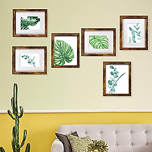 8x10 Picture Frame Brown Set of 6, Display Pictures 5x7 With mat or 8x10 Without Mat