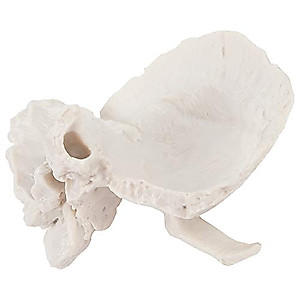 Axis Scientific Temporal Bone - Left