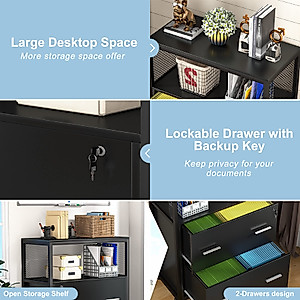 TRIBESIGNS WAY TO ORIGIN 2 Drawer File Cabinet with Lock, Large Lateral Filing Cabinet for Letter/Legal / A4 Size, Wood Printer Stand with Open Storage Shelves for Home Office (Black)