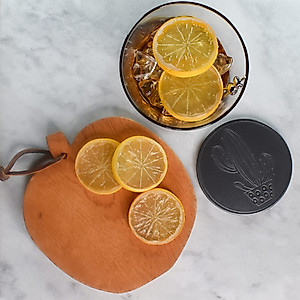 Questech Décor Coasters, Rustic Farmhouse Hosting Housewarming Gift Idea, Coasters for Coffee Table with Protective Cork Backer, Decorative Cactus Garden Design, Wrought Iron Finish, Set of 4