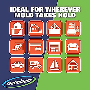 Concrobium 27400 Mold Control Aerosol, 14.1 Ounce