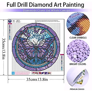 5D Butterfly Diamond Painting Kits for Adults-Stained Glass Butterfly Diamond Art Kits for Adults, Butterfly Gem Art Kits for Adults for Gift Home Wall Decor(14x14inch)