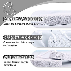 YOLAGGOY Small Animal Hay Feeder, 2 Holes Hanging Rabbit Hay Feeder Bag for Rabbit Small Animal Chinchilla with 1 Grind Teeth Stone(Strawberry)