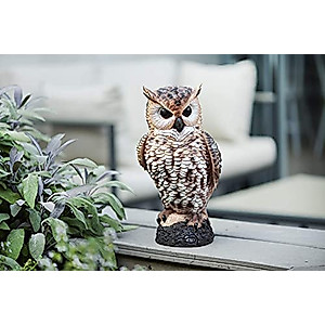 VA Resin Garden Owl Statue, Fake Owl, Fake Statue, Fake Owls, Garden Owl, Owl Décor, Realistic Owl, Owl Yard Décor, Owl.