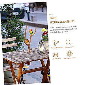 Budgie Cage Accessories Bird Screw Mount Toy- Bird Perch can Help Increase Pets' Activity Space, a Nice Toy for Parrot. It Will give Them a Good Experience.