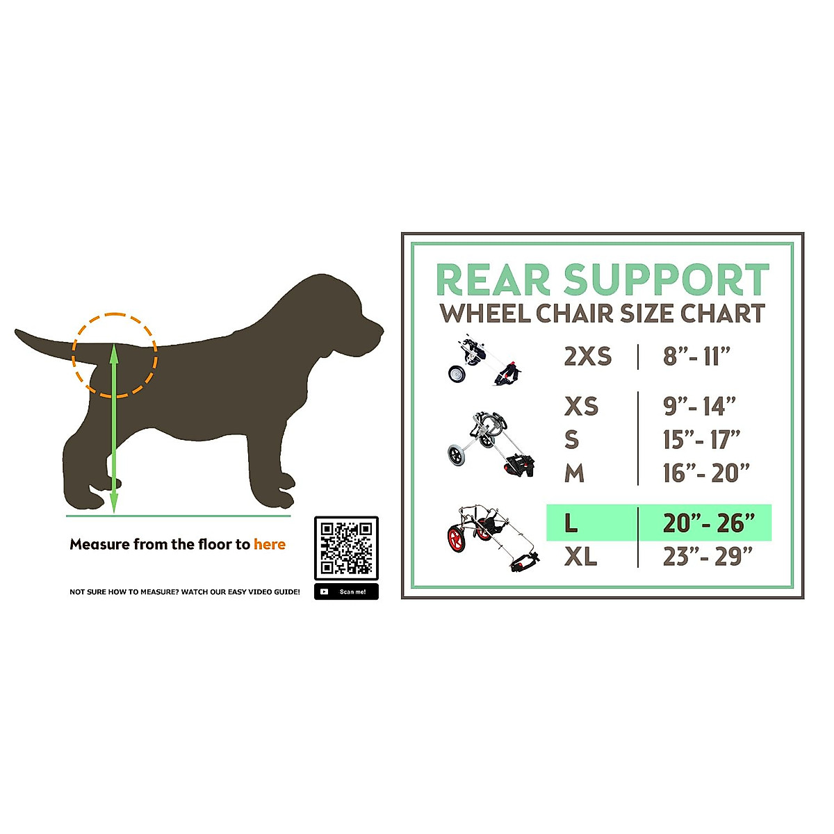 Best Friend Mobility Rear Support Wheelchair 2.0 Large Lightweight Dog Wheelchair for Back Legs