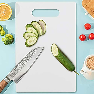 Lesbin 4-Piece Small Plastic Cutting Board with Handles