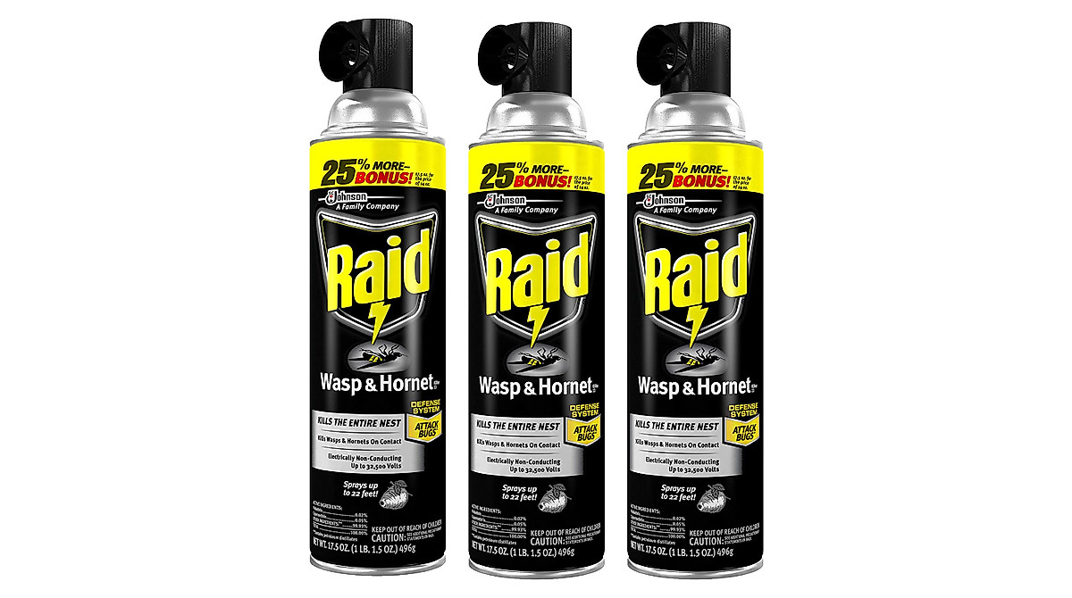 Raid Wasp & Hornet Killer Spray - Instant Nest Elimination