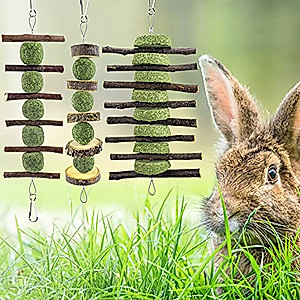 ERKOON 3PCS Bunny Chew Toys, Rabbit Chew Toys for Teeth Grinding, Improve Dental Health, 100% Natural Apple Wood Timothy Grass Cake Treats for Rabbits Guinea Pigs Chinchillas Bunnies Hamsters