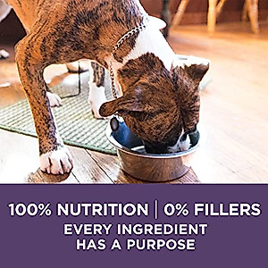 Purina ONE High Protein Dry Senior Dog Food Plus Vibrant Maturity Adult 7 Plus Formula - 31.1 lb. Bag