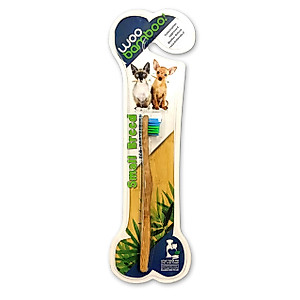 Woobamboo! Eco-Friendly Small Breed Dog and Cat Bamboo Toothbrush (Pack of 2)