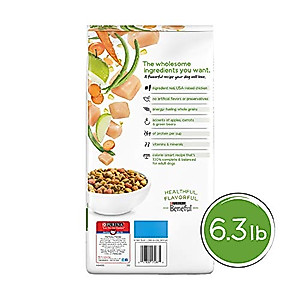 Purina Beneful Healthy Weight Dry Dog Food With Farm-Raised Chicken - 6.3 lb. Bag