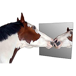 Grey Tinted Clear Acrylic Plexiglas (Smoked) Sheet 24" X 24" X 1/8"