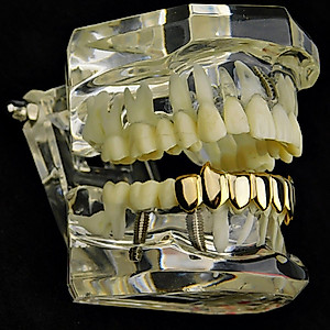 Fang Grillz 14k Gold Plated 8 Bottom Teeth Fangs Eight Piece Slugs Hip Hop Vampire Mouth Grills