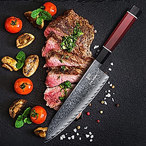 Paul Brown's™ 8 inch Professional AUS-10 Damascus 67 Layers Steel Kitchen Chef Knife with wooden handle Pine wood gift box and leather sheath