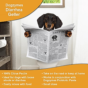 Dogzymes Diarrhea Geller (3 Ounce)