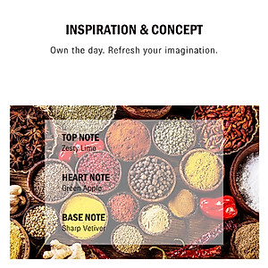 Playboy Fragrances Playboy New York Eau De Toilette Spray for Men By - 3.4 Ounce / 100 Ml, 3.4 Fl Ounce