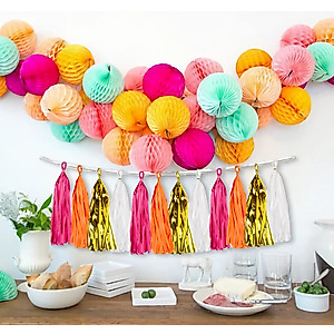 20PCS Hot Pink Orange DIY Tissue Tassel Banner Paper Party Garland Streamer for Graduation Summer Luau Flamingo Girl Baby Shower Pumpkin Birthday Party Wedding Nursery Classroom Décor