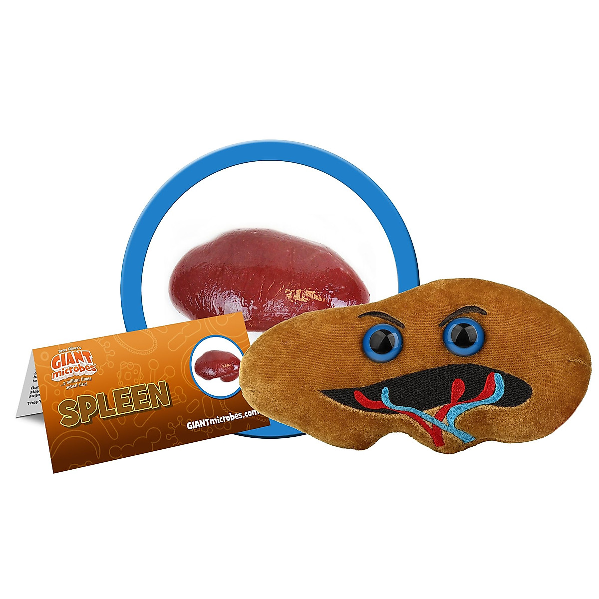 GIANTmicrobes Spleen Plush, Spleen Stuffed Animal, Stuffed Spleen, Spleen Removal, Spleen Funny, Spleen Pillow, Spleen Plush Toy, Stuffed Spleen Plush, Plush Spleen, Spleen Toy, Spleen Surgery Gifts