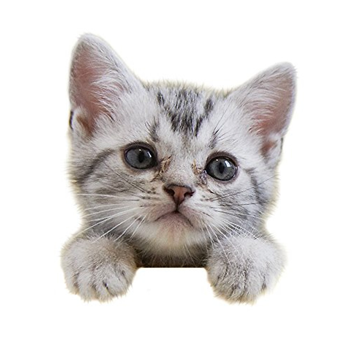 Purina Tidy Cats Non Clumping Cat Litter, Glade Clear Springs Multi Cat Litter - 10 lb. Bag