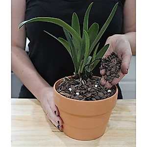 Orchid Potting Mix, Hand Blended All Natural Potting Soil Media for Orchid Plants, Fast Draining Healthy Media for Planting or Orchid Repotting- 8qts
