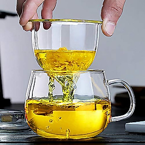 Lezero 13 ounce Tea Cups Kits Loose Tea-leaf Brewing System, Thickened Glass Cups with Tea Infuser Basket and Lid, Simple Filtration Teacups Great for Family Daily