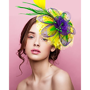 Hikkcos Mardi Gras Fascinators Headband for Women Feathers Headband for Royal Wedding Carnival Parade Cocktail
