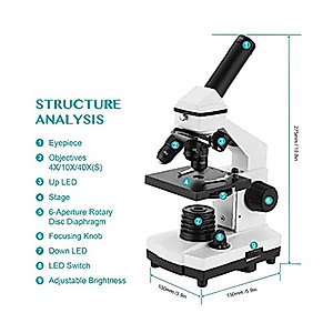 CZDYUF 64X-640X Professional Biological Microscope Up/Down LED Monocular Microscope for Students Kids Education with Slides
