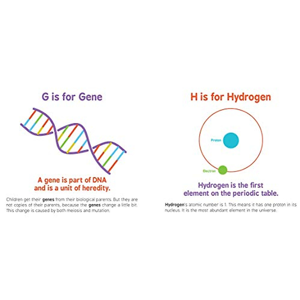 ABCs of Science: The Essential ABC Board Book of First STEM Words from the #1 Science Author for Kids (Science Gifts for Kids) (Baby University)