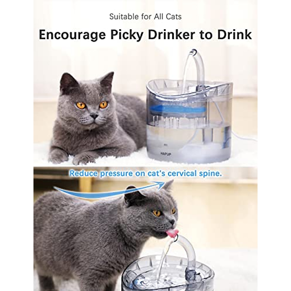 HAPUP Cat Water Fountain Animal Water Dispenser 61OZ/1.8L Automatic Pet Drinking Fountain Clear Upgrade with 2 Filter Replacement 1 Adjustable Silent 1 Water Pump for Cats Kitty Indoor