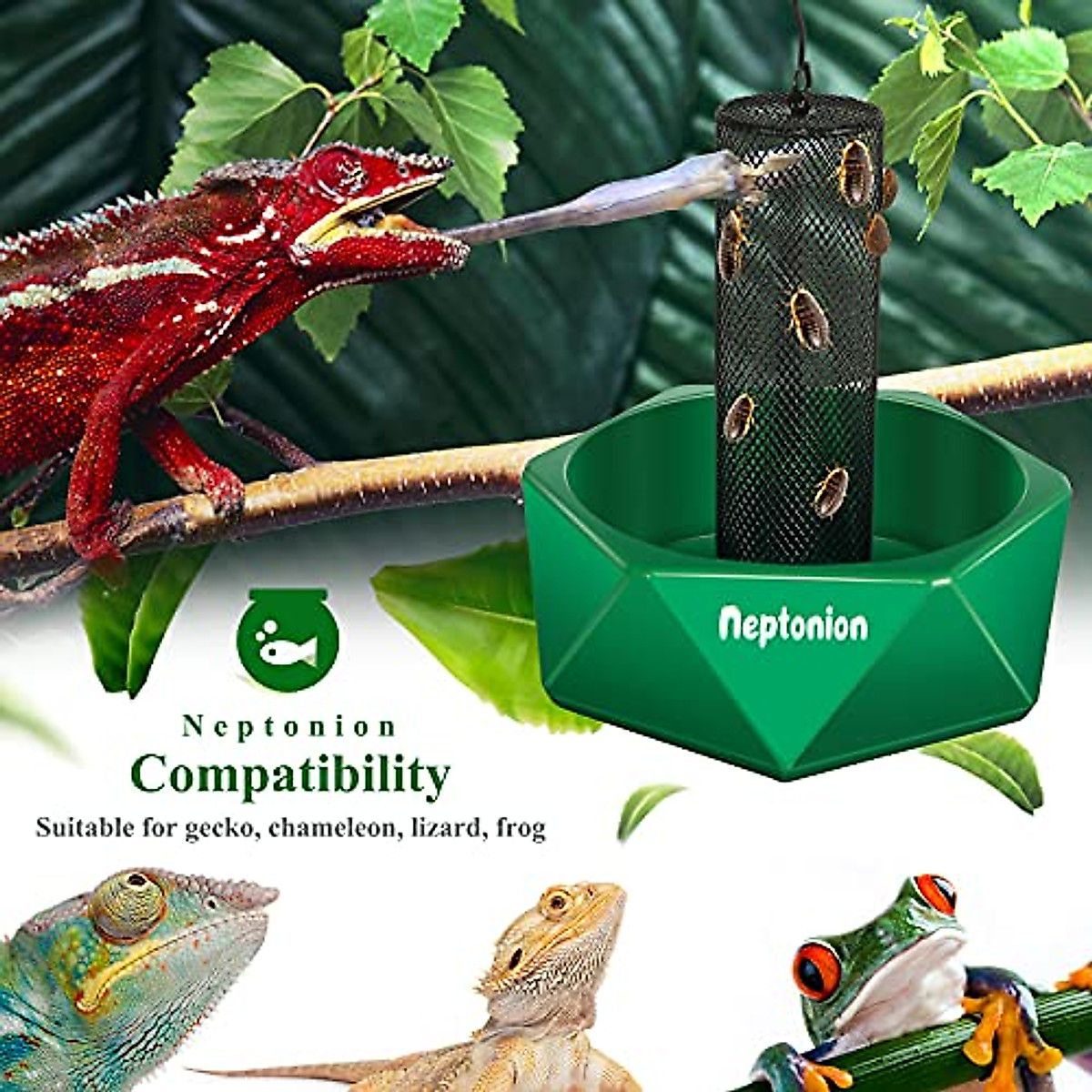 NEPTONION Hookable Chameleon Feeding Bowl, Professional Live Worm Organizer with Column for Prey to Climb and Move, Suitable for Lizard, Bearded Dragon, Iguana, Gecko, Toad, Frog
