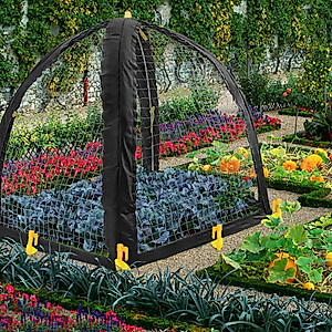 Large Pest Guard Cover-35 x35 x 39 Inch Pest Guard Tent with Stakes-Garden Plants Cloche Tent for Protect Plants Vegetables Fruits Shrubs from Squirrel Bird Eating (L)