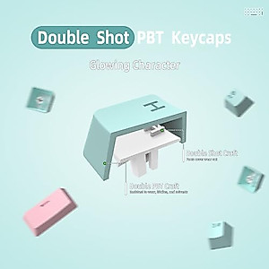117 Key Custom PBT Keycap Set Double Shot OEM Profile for 61/68/87/98/100/104Key Compact 60% and Full Size GMMK Cherry MX Gateron Kailh Cross Type Switch US Layout Mechanical Keyboard DIY(Pink Blue)