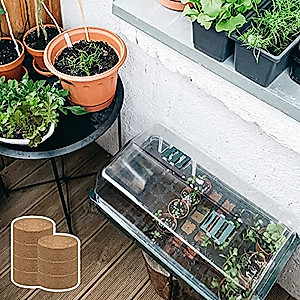 ZeeDix 50pcs(30mm) Compressed Coco Coir Fiber Potting Soil- Coir Medium, Coconut Soil for Indoors or Outdoors, Bonsai, Herbs, Plants, Flowers and Vegetables