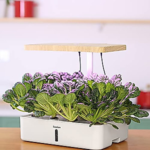 Ivation 12-Pod Indoor Hydroponics Growing System Kit with LED Grow Light, Herb Garden Planter for Herbs, Vegetables, Plants Flowers and Fruit