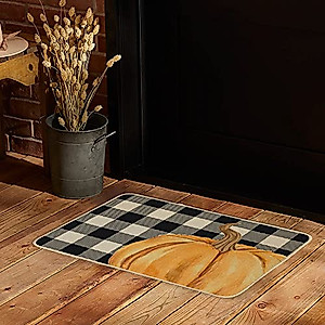 Fall Pumpkin Decorative Doormat 17 x 29 Inch, Thanksgiving Seasonal Autumn Harvest Vintage Door mat Rustic Yard Farmhouse Rugs for Indoor Outdoor Entrance Floor