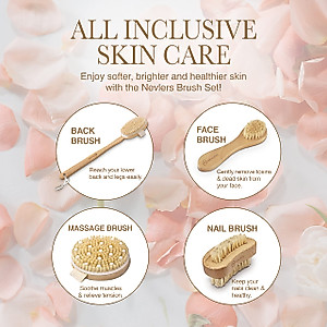 Nevlers Natural Boar Bristle Body Brush Set with Detachable Cellulite Massage Brush and Long Wooden Handle for Dry Brushing Perfect Kit to Exfoliate and Get Rid of Cellulite