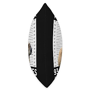 Capybara Mugshot Wanted For 93 Felonies Funny Capybara Mugshot Wanted for 93 Felonies Across The Country Throw Pillow, 16x16, Multicolor