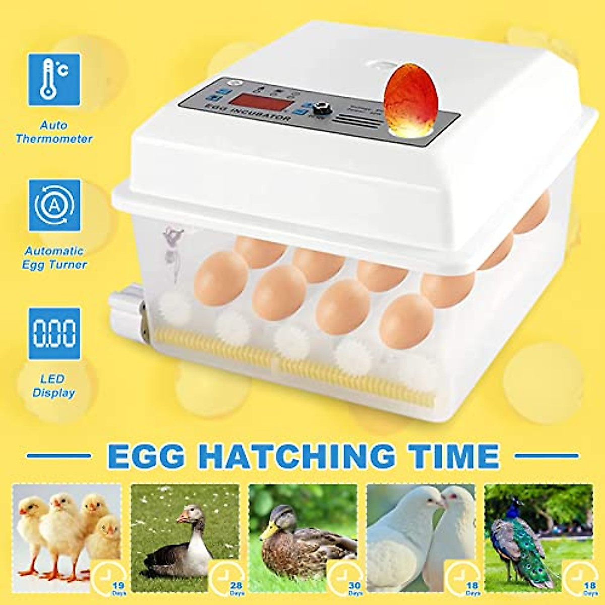 YaeCCC Egg Incubator, Automatic Egg Hatching Incubator Temperature Control for Hatching Chicken Duck Quail Bird Eggs (16 Eggs)