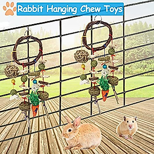 Grddaef Rabbit Chew Toys, Bunny Cage Hanging Toys Rattan Ring Treats Grinding Teeth for Rabbit Guinea Pig Chinchilla Hamster Ferret