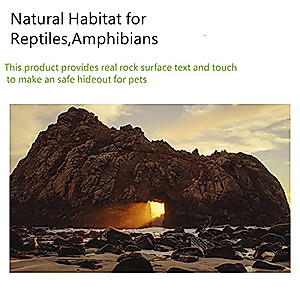 RunXF Reptile Simulation Rock Hideouts Cave Amphibian Hides Resin Habitat Decor Shelter for Gecko Leopard Lizards Toad Turtle (Small),grey