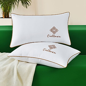 Cieltown Throw Pillows for Couch 12x20 Pillow Inserts Set of 2 White Euro Square Decorative Pillows for Bed Sofa Living Room Cojines Decorativos para Sala Cama (Champagne, 12 x 20 Inch Pack of 2)
