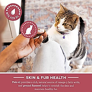 Greenies Feline Smartbites Skin & Fur Crunchy and Soft Natural Cat Treats, Salmon Flavor, 2.1 oz. Pack